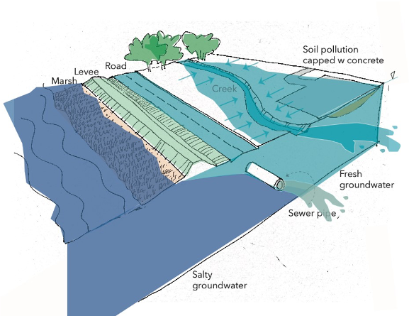 Shallow Groundwater Rise « Adapting to Rising Tides
